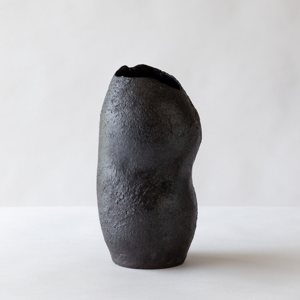 Black Lava Vase | Mojave Desert Skin Shield